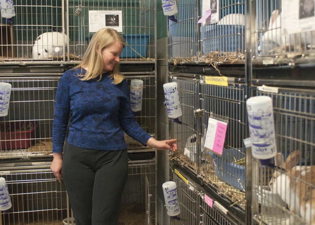 Alumna pursues passion of saving rabbits with Los Angeles Rabbit ...