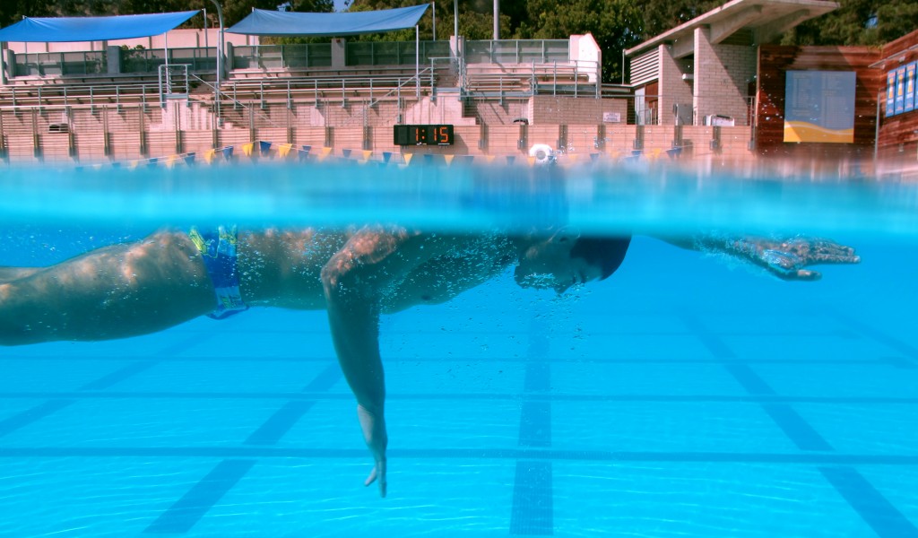 Team USA contributor joins UCLA men’s water polo team - Daily Bruin