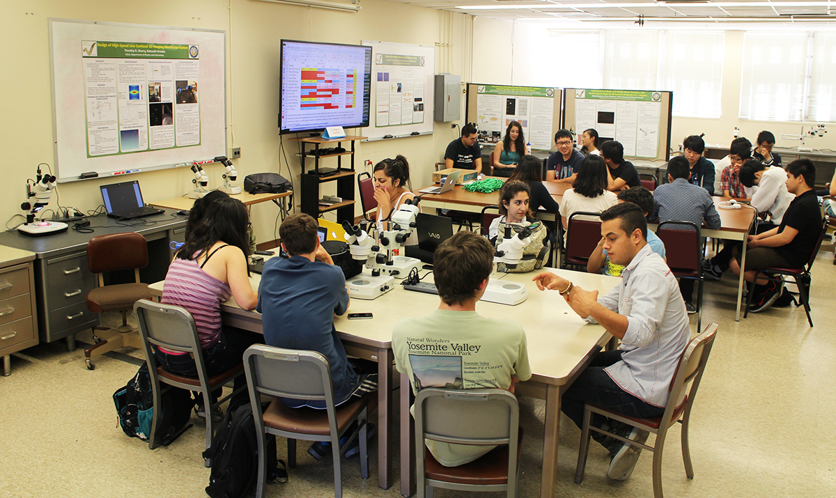 Elegant Mind club builds practical research experience - Daily Bruin