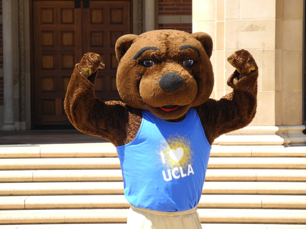Joe Bruin Rallies Support from Students for Mascot Challenge - Daily Bruin