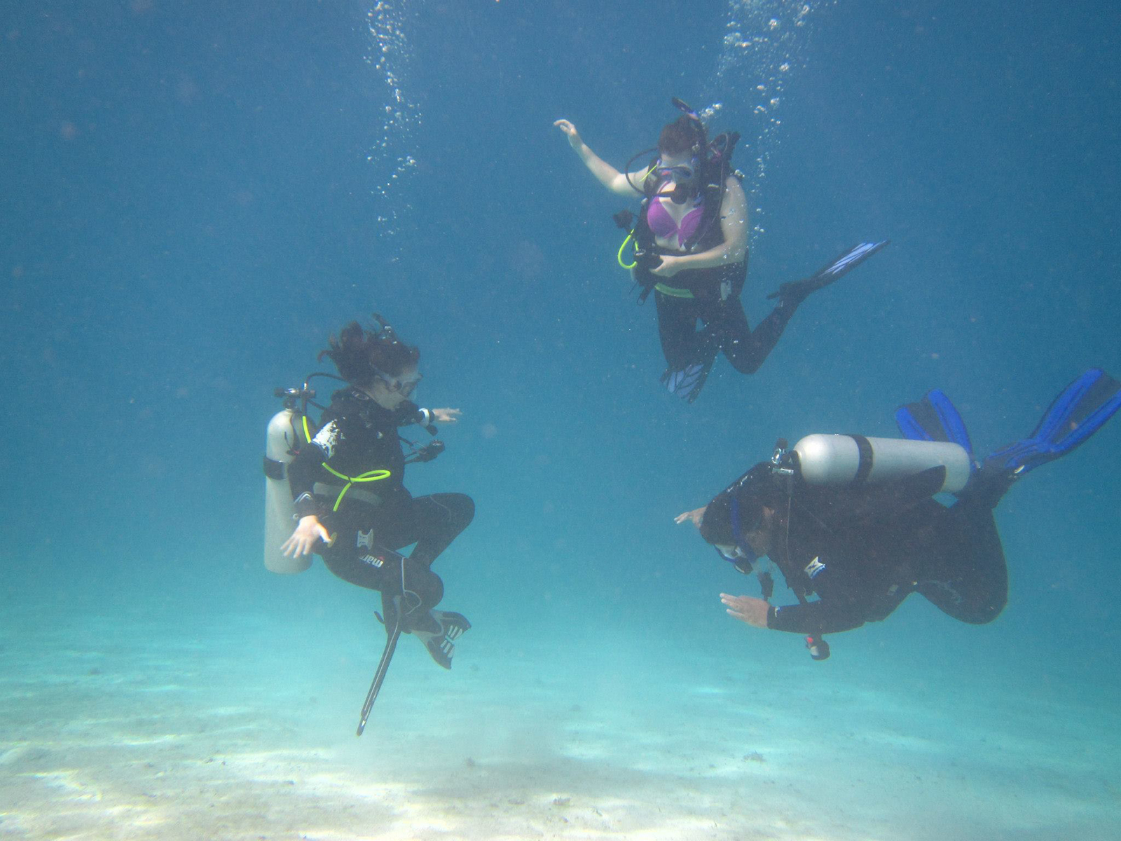 New UCLA SCUBA Club reaches out to diving community on campus - Daily Bruin