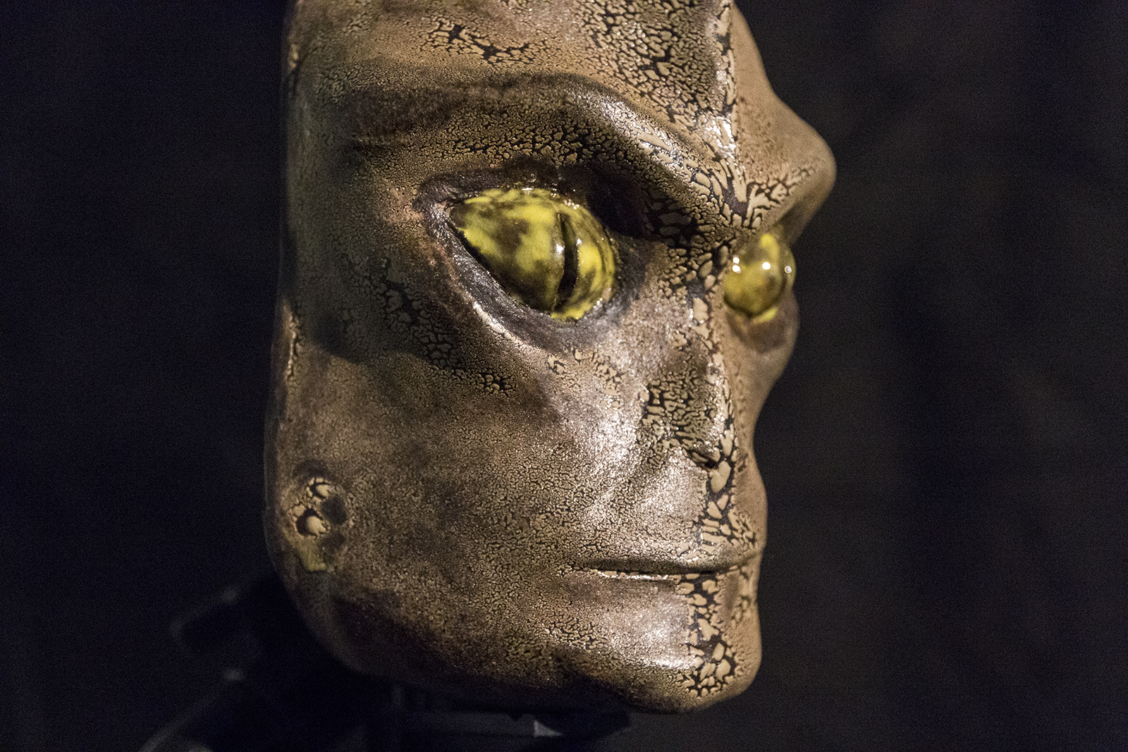 Graduate student exhibits virtual reality project ‘Isla Lacerta ...