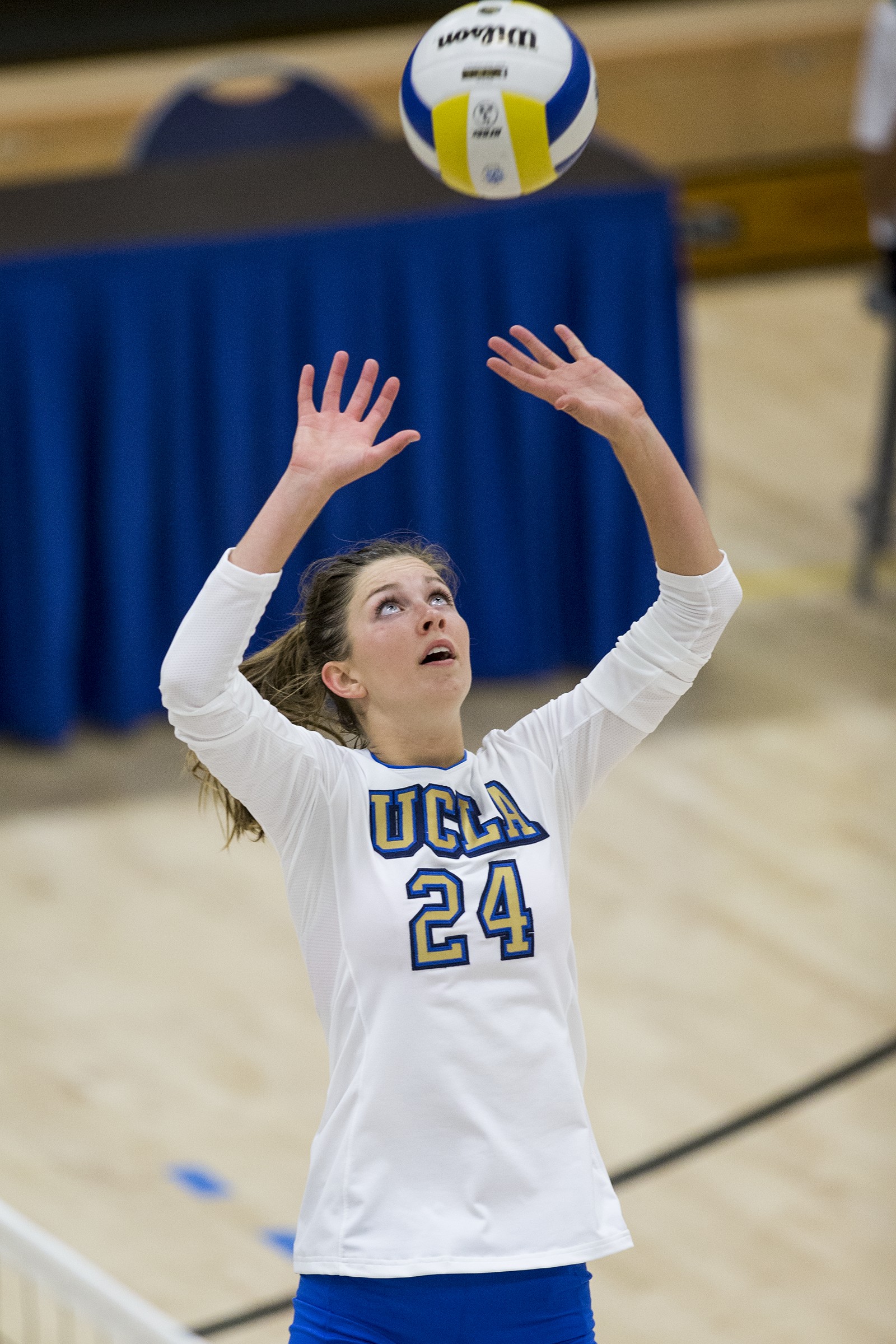Women’s volleyball to test win streak, offense in Oregon - Daily Bruin