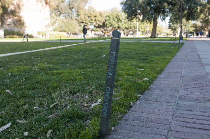 The Quad explained – does UCLA even have one? - Daily Bruin