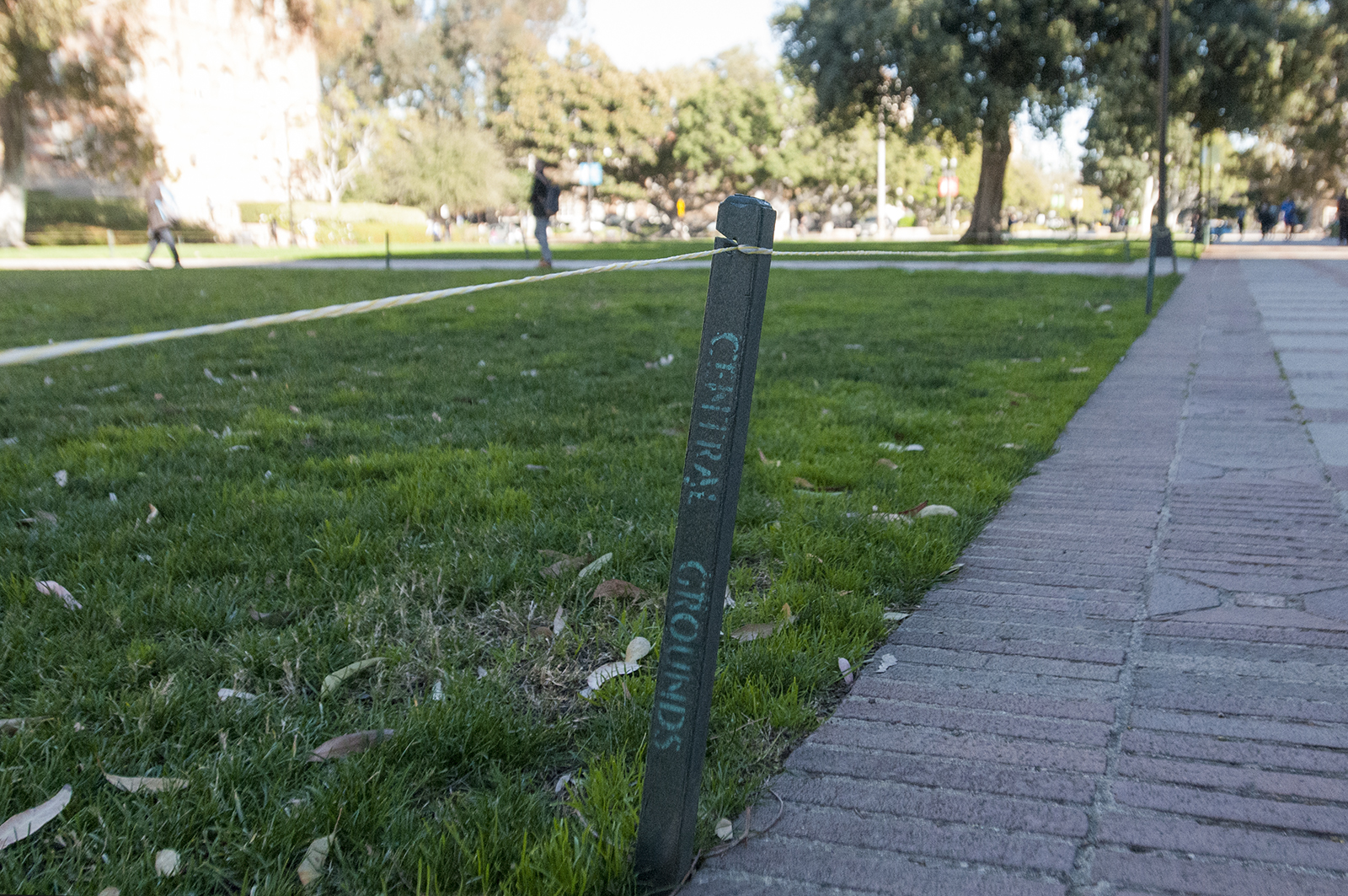 The Quad explained – does UCLA even have one? - Daily Bruin