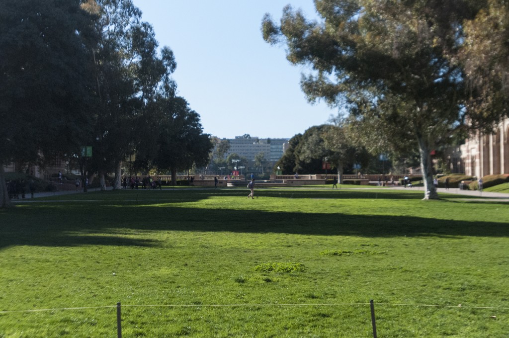 The Quad explained – does UCLA even have one? - Daily Bruin