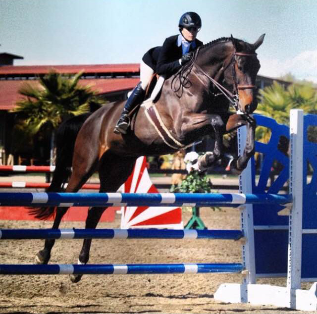UCLA equestrian team overcomes hurdles inside and outside arena - Daily ...