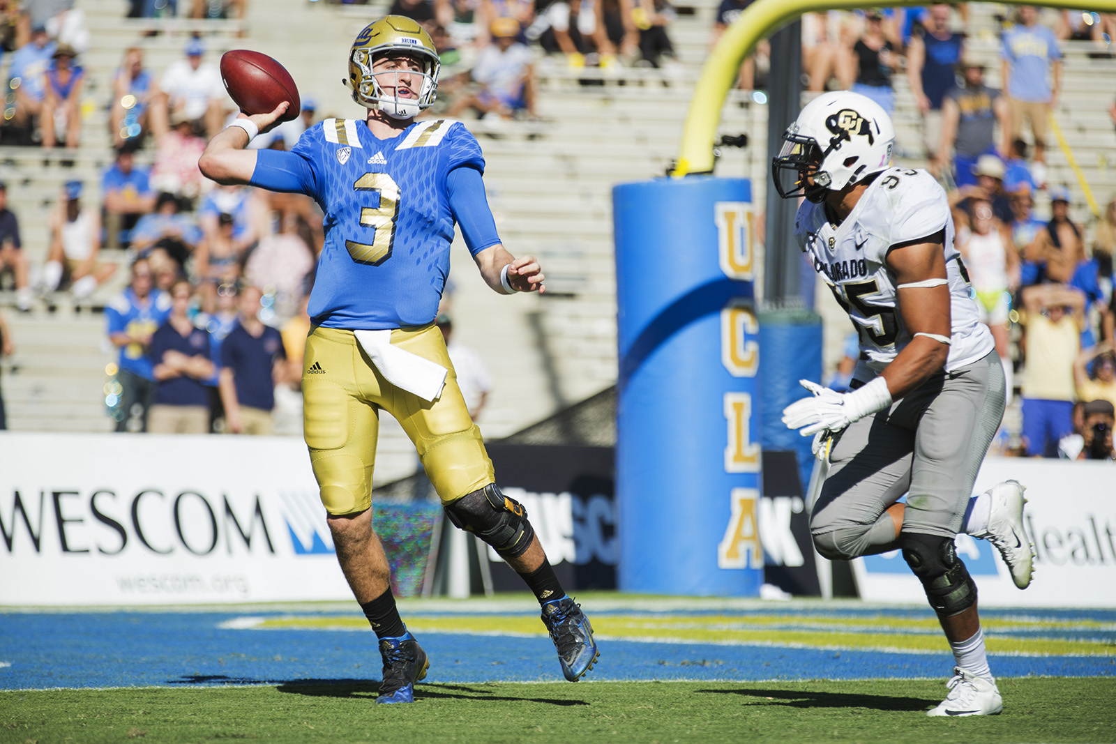 Battle of the Editors: Rookie of the year - Daily Bruin