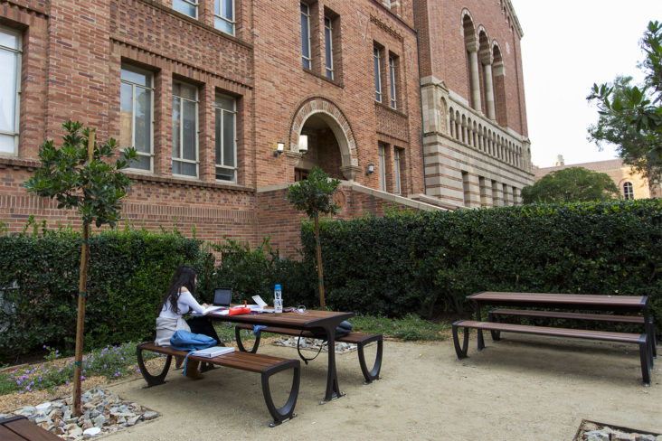 Ucla Students Studying