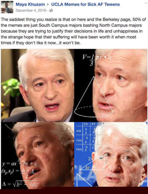 The Quad: Thank you bobber, it has been a year to remember - Daily Bruin