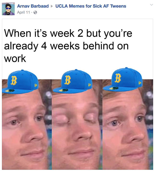 The Quad: Thank you bobber, it has been a year to remember - Daily Bruin