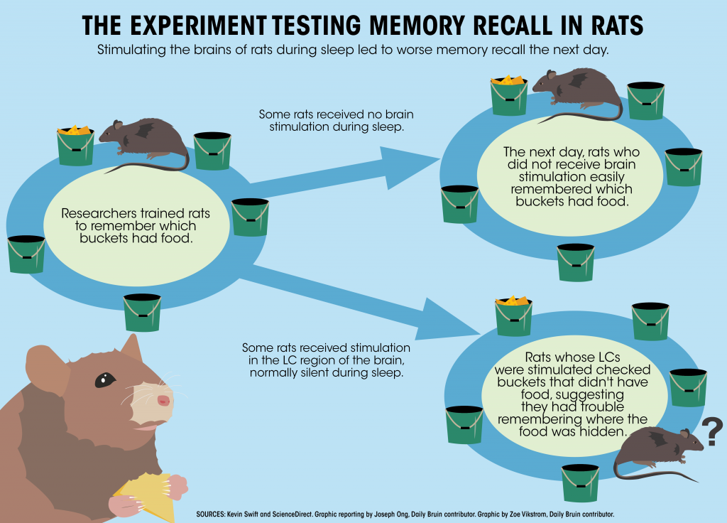 Study finds stimulating region of the brain during sleep may affect ...