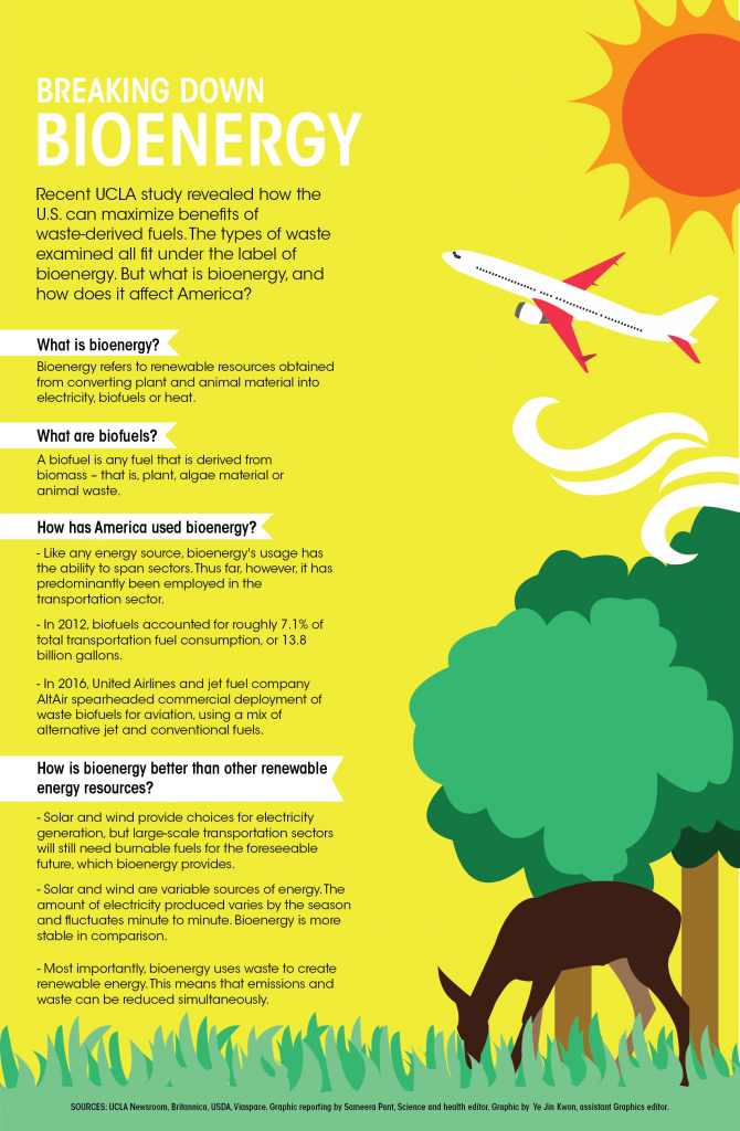 Study examines how waste can be used for bioenergy, potentially on ...