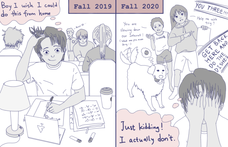 Editorial Cartoon: Expectation vs. reality - Daily Bruin