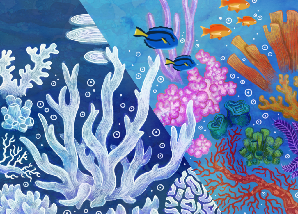 UCLA-led study highlights effects of ocean acidification, warming on ...