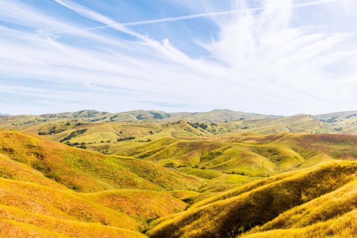 Campus Queries: What are super blooms, and what do they mean for the ...