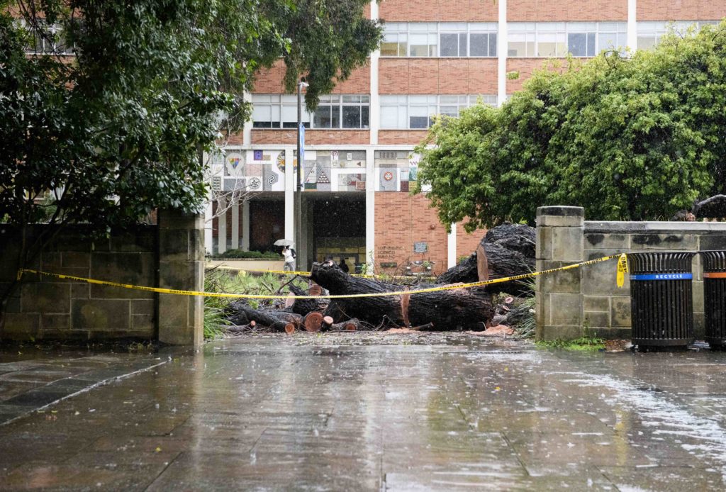 UCLA campus experiences flooding, facility closures from record rainfall - Daily Bruin