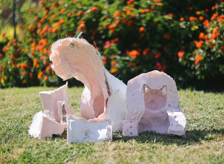 The fight to remember Powell Cat - Daily Bruin