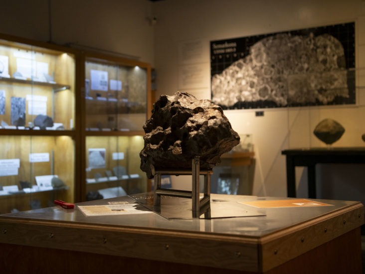 From starlight to spotlight: UCLA professor Amy Mainzer defends ...