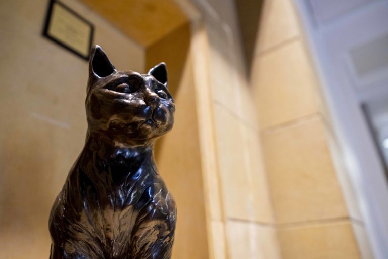 Statue commemorates Powell Cat’s legacy, honors campus wildlife - Daily ...