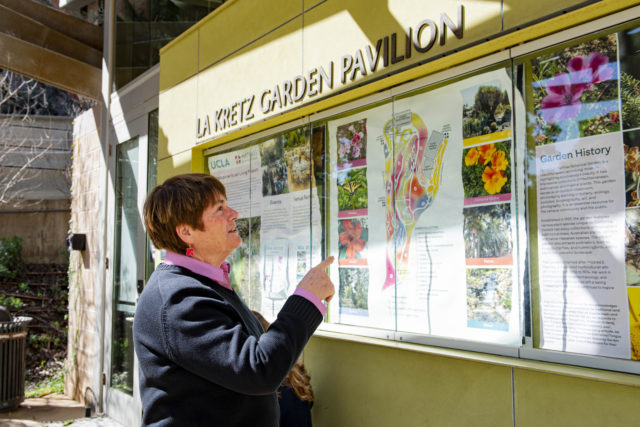 In Plain Sight: Mildred E. Mathias Botanical Garden staff cultivate ...