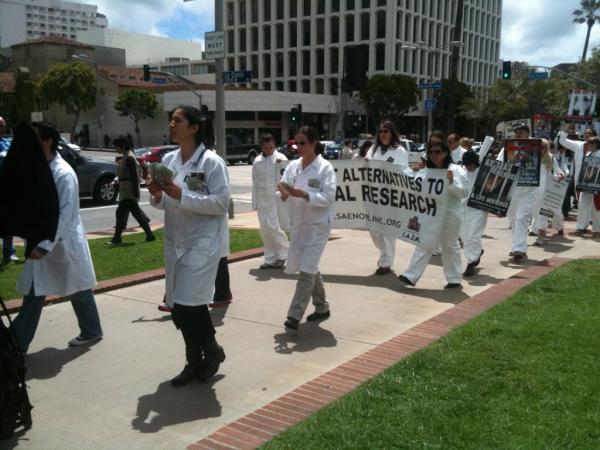 Activists protest in front of Kerckhoff Hall against UCLA's animal ...